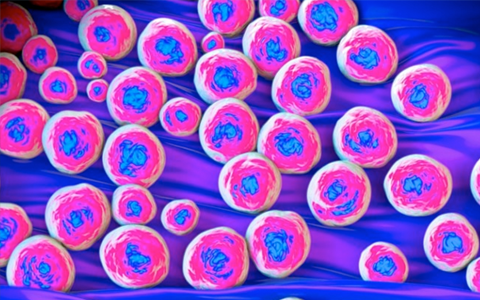 紧急护理-医疗线 - 亚博2018,yabo2013,亚博88app怎么下载